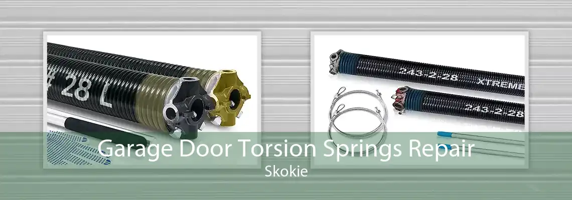 Garage Door Torsion Springs Repair Skokie | Automatic Garage Door ...